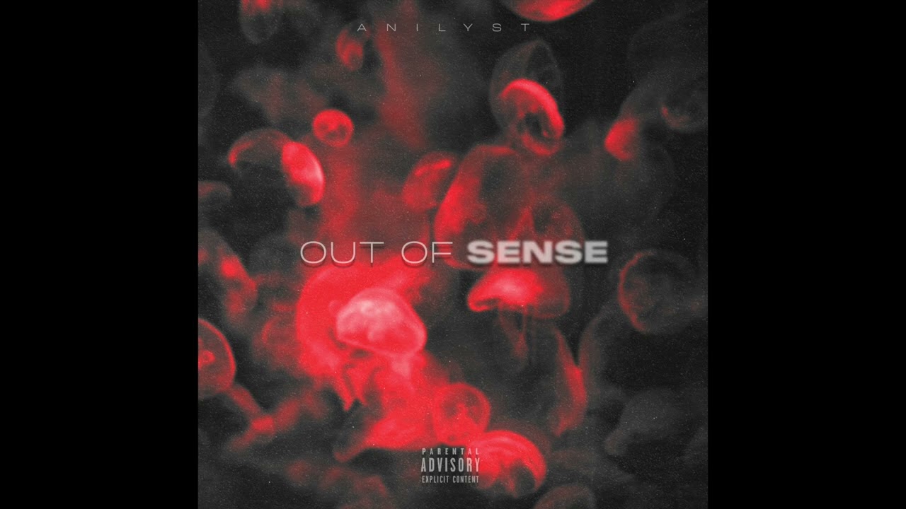 Anilyst - Out Of Sense (Audio)