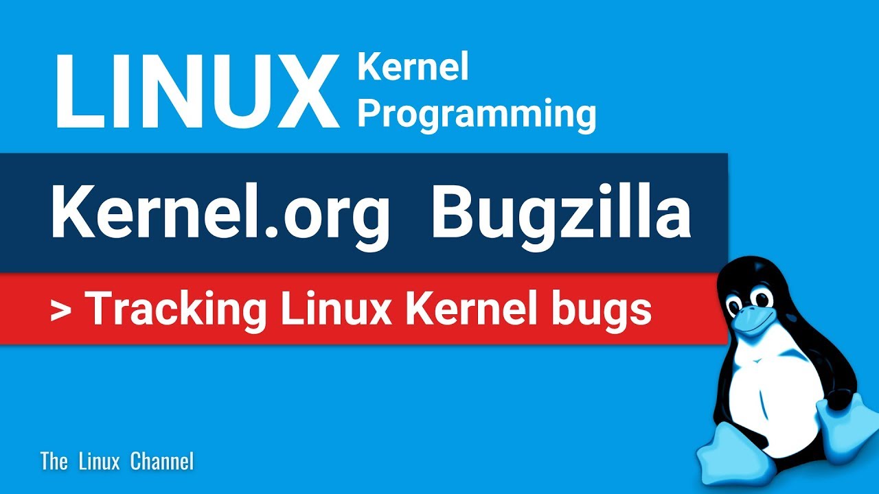 0x16b Tracking Linux Kernel bugs in Kernel.org Bugzilla (or Bugzee as we call it in the Industry)