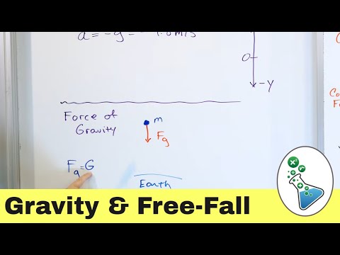 The Acceleration of Gravity and Free-Fall Equations