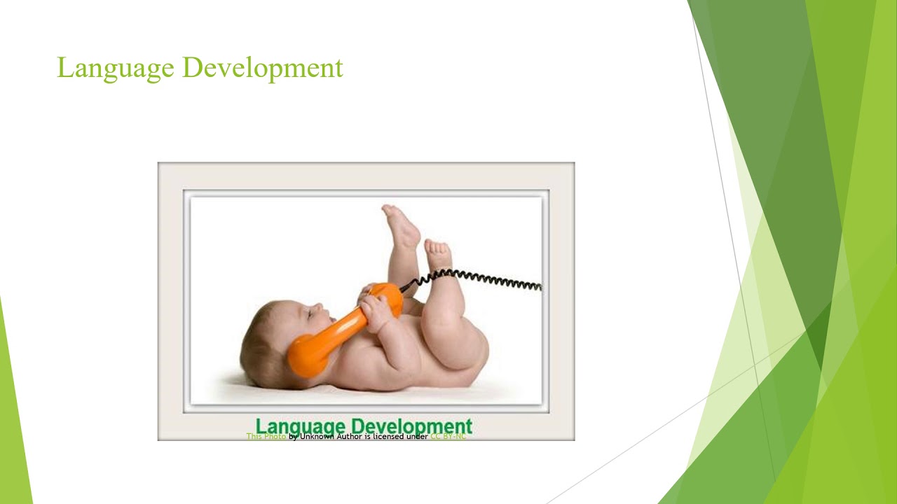 Cognitive and Language Development.wmv