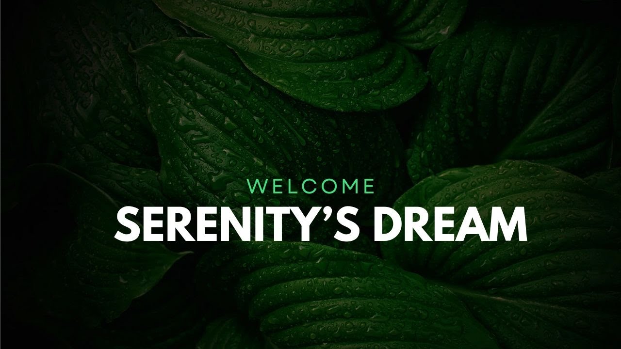 Serenity's Dream Luxury Day Spa LLc