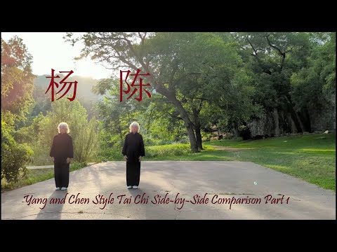 Yang/Chen Side-by-Side (1) | Tai Chi Notebook