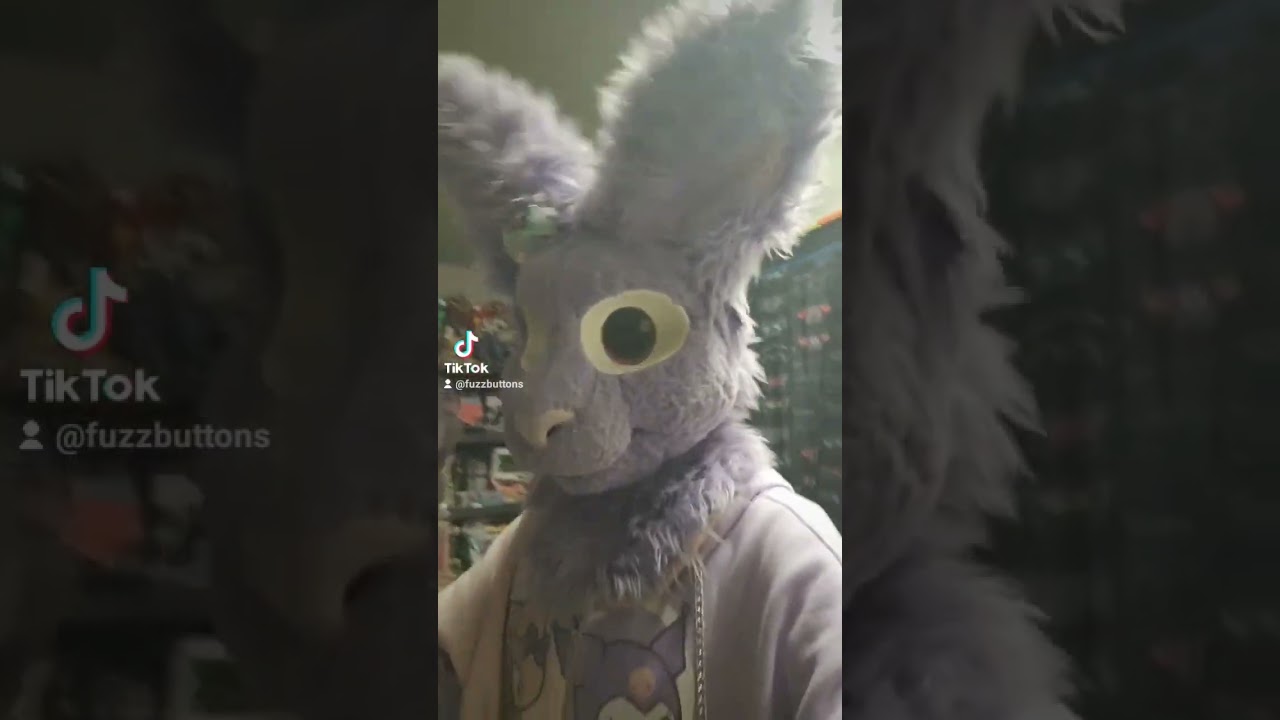 I Will Keep Saying It #furry #fursuit #furryfandom #fursuiter #cabbit #furrytrash #fyp #gaylife