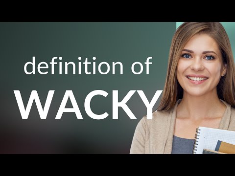 Wacky | what is WACKY definition