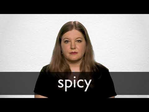 SPICY 释义 | 柯林斯英语词典