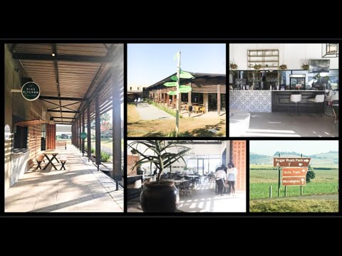 Sugar Rush Park | The sweet taste of adventure