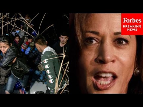 GOP Lawmaker Mocks Kamala Harris's Border Visit, Decries Rise In Illegal Crossings
