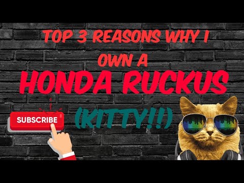 TOP 3 REASON WHY I OWN A HONDA RUCKUS