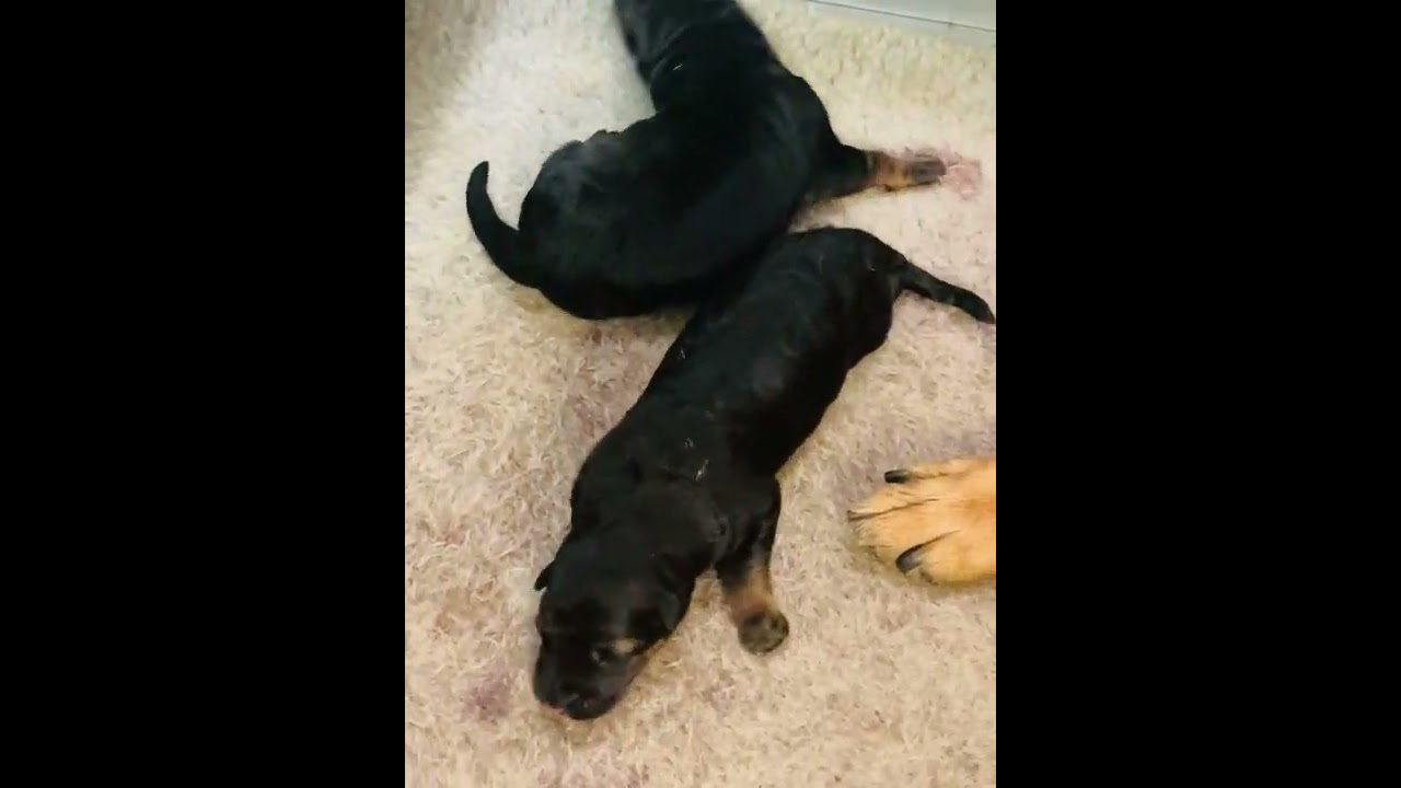 BE98EC42 88A5 44BF 9AE1 3307E5303EF5 2 0 a