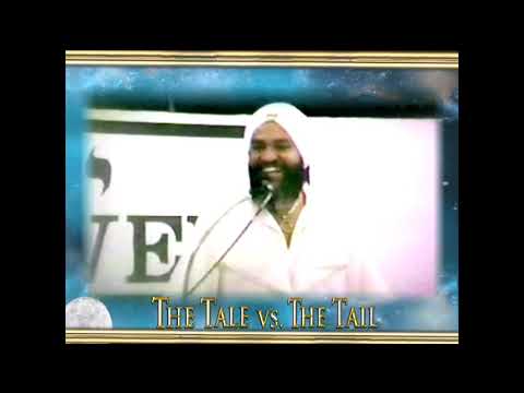 8 The Sun Clad Woman The Tale vs The Tail | B.O.S.S. CHAPTER 7 INC.