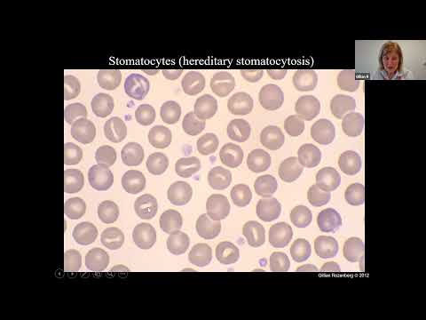 Red Cell Nomenclature Part 1