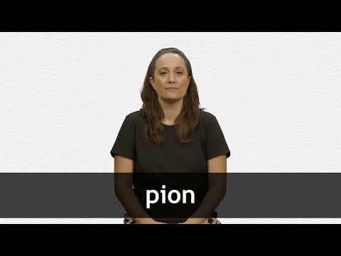 English Translation of “PION” | Collins French-English Dictionary