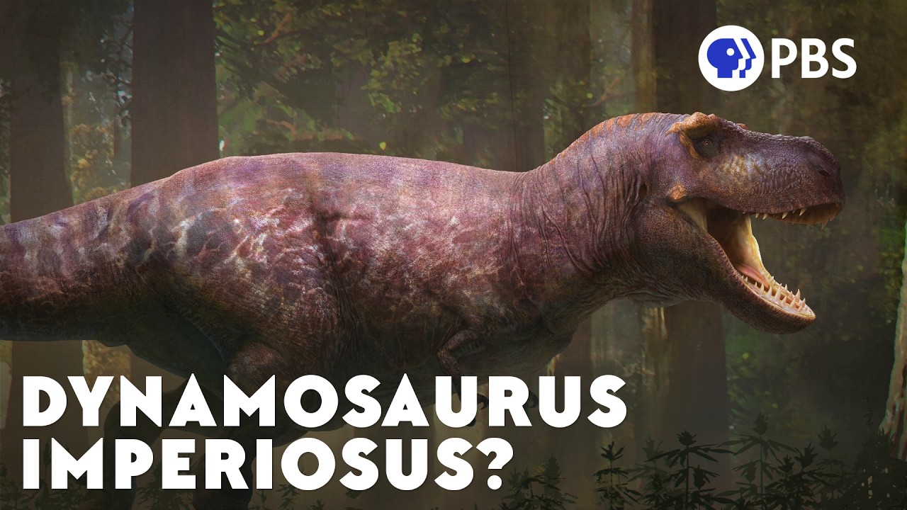 Does T. rex Have The Wrong Name?