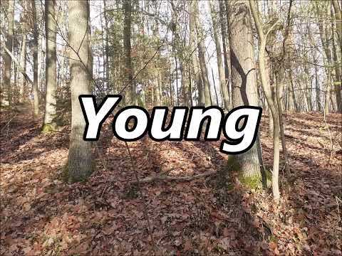 YOUNG as a family name its meaning and origin