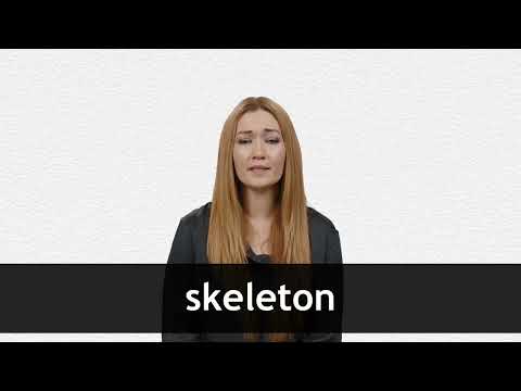 SKELETON definition and meaning | Collins English Dictionary