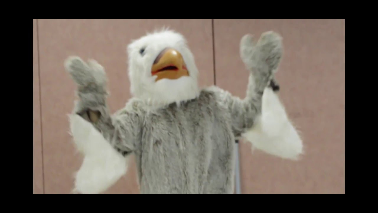Hill View Hawks