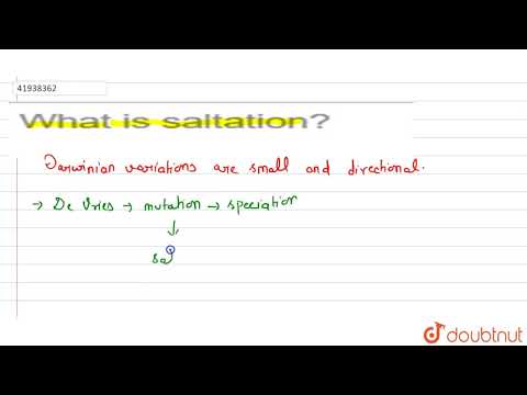 What is saltation?