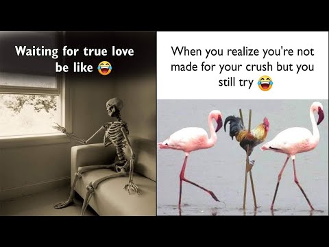 cute memes for crush | flirty memes for crush | Laughing memes #02