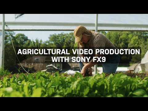 Filming for Agricultural Video Production