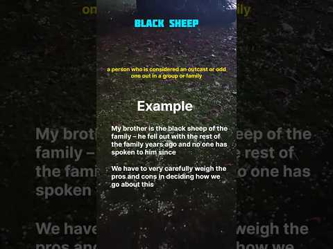 How to learn idioms and phases- Black sheep - #shorts #shortsfeed #ytshorts