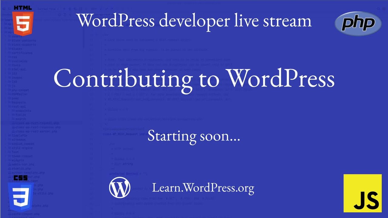 Testing WordPress 6.5