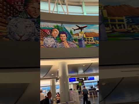 Las Vegas Airport | Vegas vibes #trendingshorts #travelvlog #travel #trending #placestovisit #2024