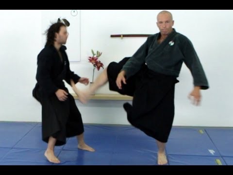 Ninjutsu Techniques Portal – 11,000+ Documented Methods | AKBAN