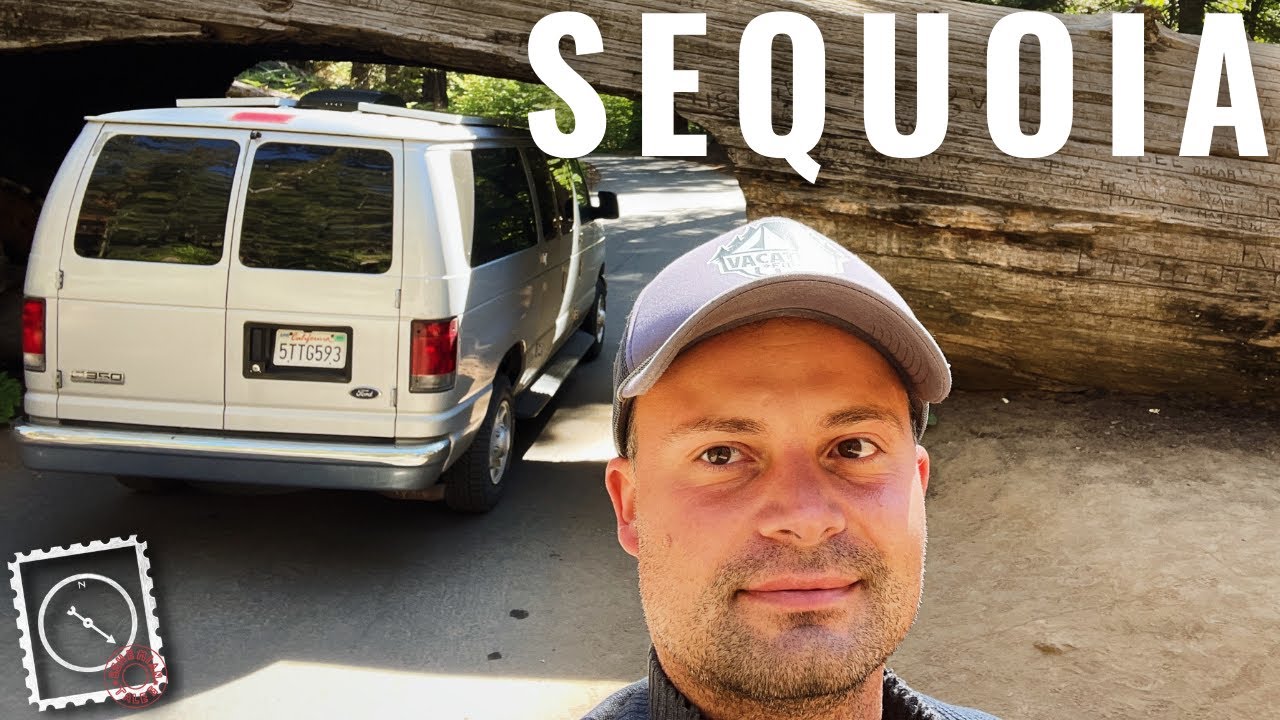 SEQUOIA NATIONAL PARK IN A VAN // VANLIFE