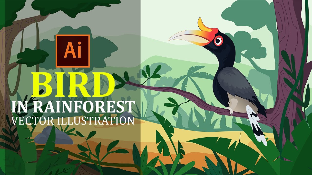 Bird (Hornbill) in Rainforest Vector illustration |  Adobe illustrator | Vector Art | Speed Art