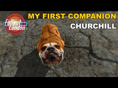 Steam Community :: Video :: My first Companion Churchill in Fallout London