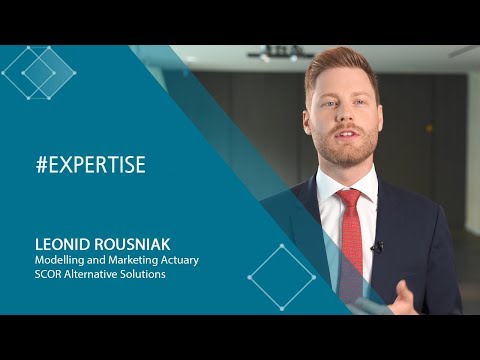 Leonid Rousniak - Introduction to parametric solutions