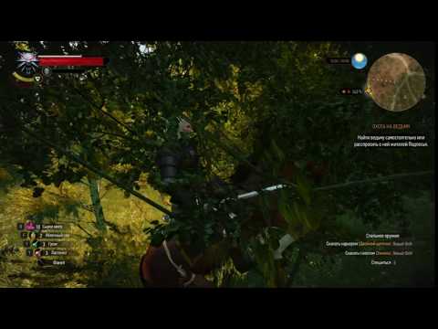 Steam Community :: Video :: Witcher 3 Roach Push-Ups