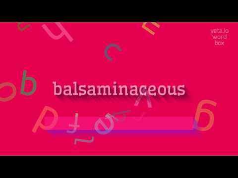 BALSAMINACEOUS - HOW TO PRONOUNCE BALSAMINACEOUS? #balsaminaceous
