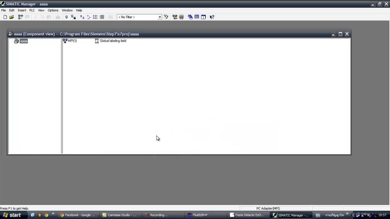 Set SIMATIC Manager and Festo Fluidsim