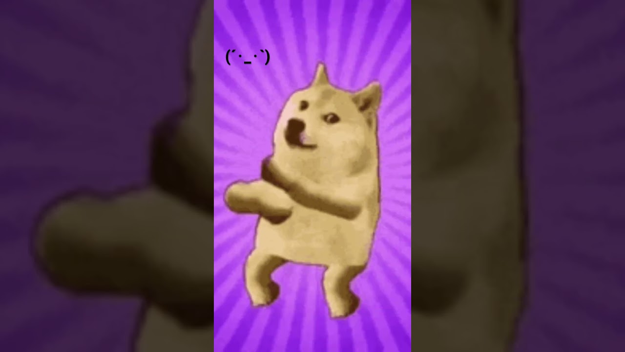 dancing doge gif