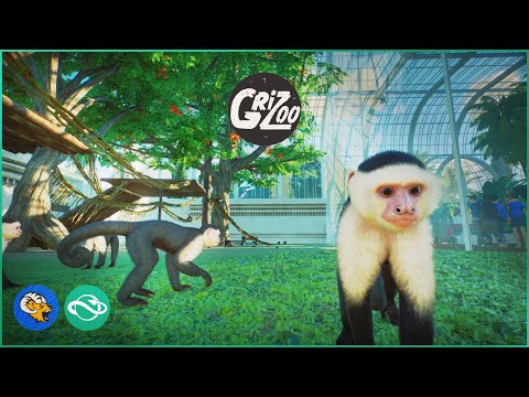 Steam Community :: Video :: Building Capuchin Paradise | Planet Zoo | EP. 5 (Franchise Mode ...