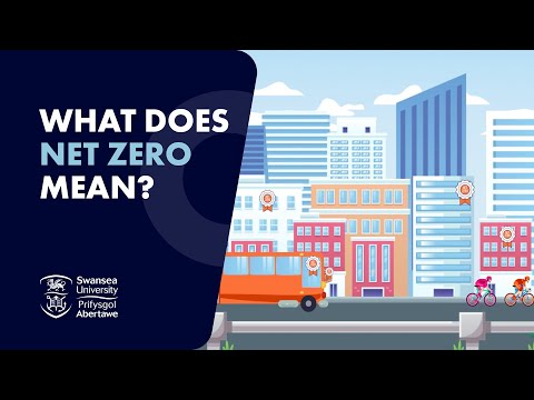 What Does Net Zero Mean?