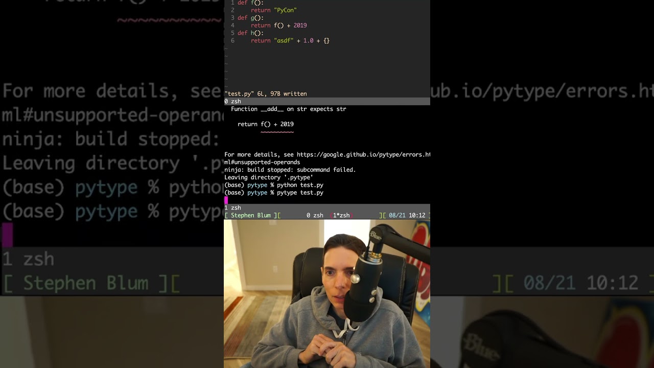 PyType Error Detection
