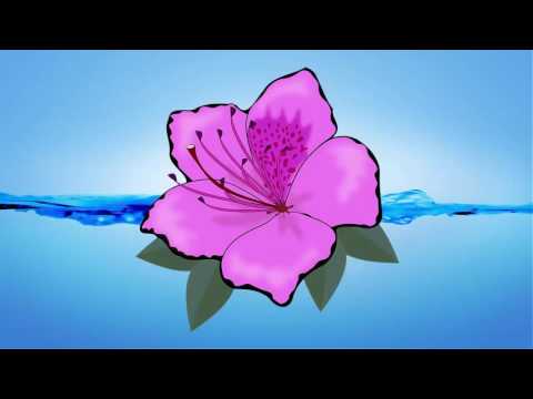 Flower Clipart Images
