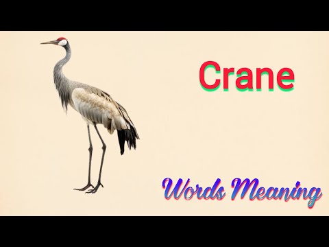 Crane meaning in hindi | Crane ka matlab kya hota hai | Crane means | Crane ka arth | spelling