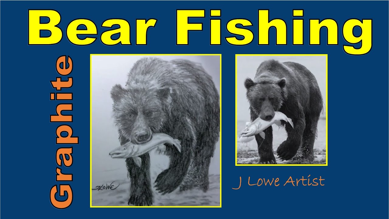 How to Draw a Grizzly Bear Step by Step easy