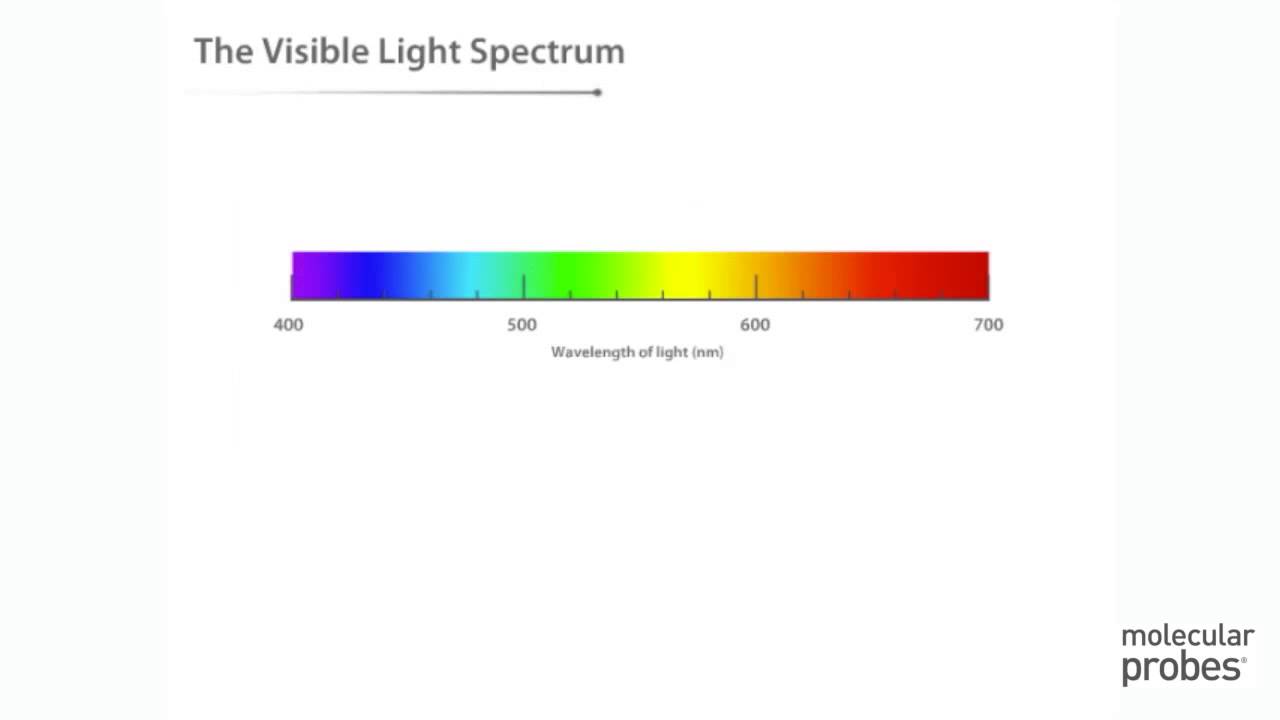 Molecular Probes Tutorial Series—Introduction to Fluorescence