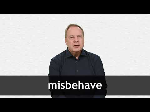 MISBEHAVE 释义 | 柯林斯英语词典