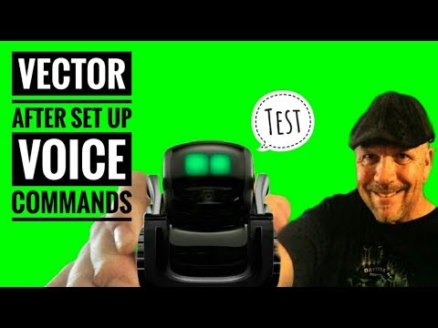 Vector After Set up Voice Command review
