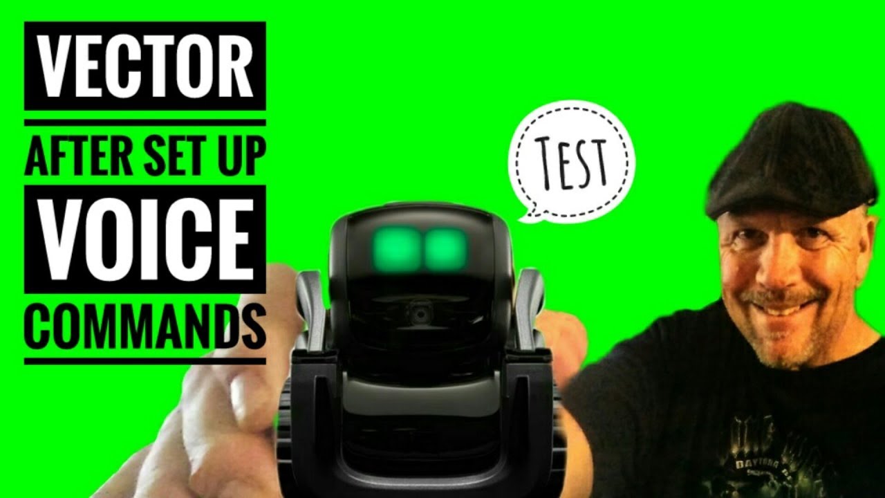 Vector After Set up Voice Command review