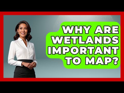 Why Are Wetlands Important To Map? - The Geography Atlas