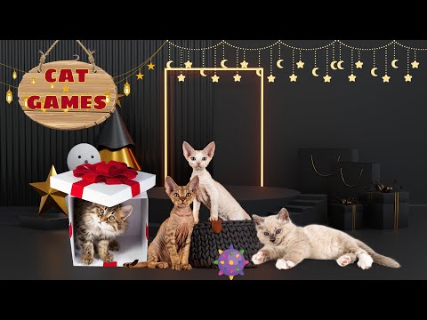 CAT TV - 3D Crazy Flies 🙀🪰 Best game for CATS 😻📺 [4K]