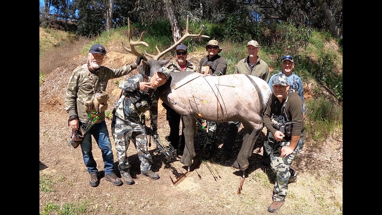 Bowhunters 3D Championship (Tournament Day)