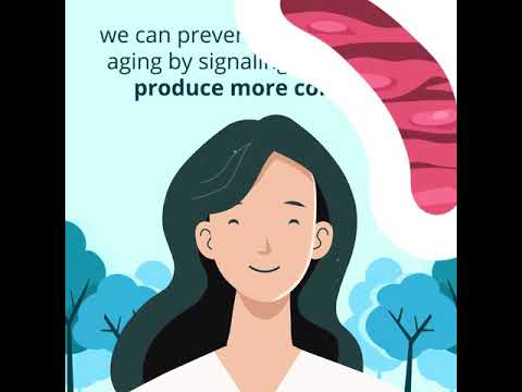 What Are Peptides?