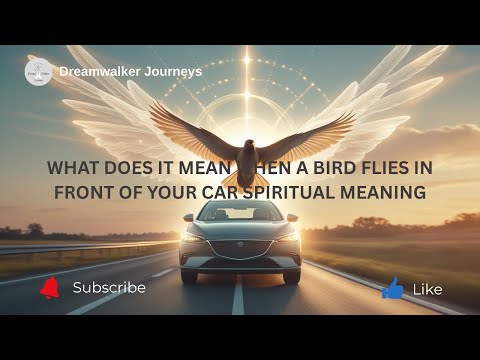 Bird Flies in Front of Your Car Spiritual Meaning | Signs, Warnings & Divine Messages
